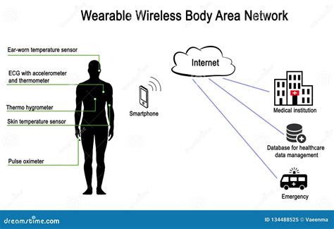 Wireless Body Area Network Stock Illustration Illustration Of Care 134488525