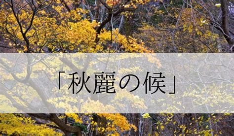 秋麗の候の時期はいつからいつまで結びや使い方と例文語彙力