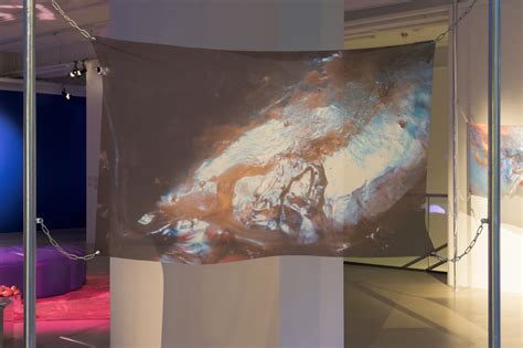 Jes Fan Sex Ecologies Outside Exhibitions Andrew Kreps Gallery