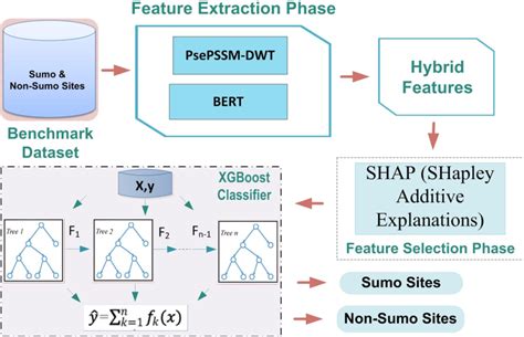 Xgboost Enhanced Ensemble Model Using Discriminative Hybrid Features For The Prediction Of