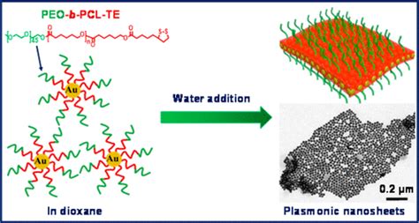 Crystallization Driven Two Dimensional Self Assembly Of Amphiphilic Pcl B Peo Coated Gold