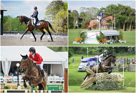 A Detailed Breeding Analysis Of The Us Olympic Team Horses Eventing
