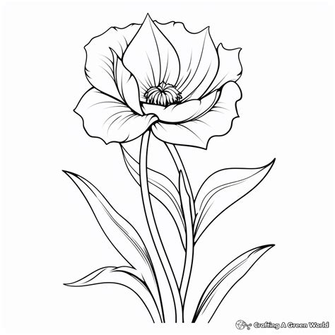 Black And White Flowers Coloring Pages Free And Printable