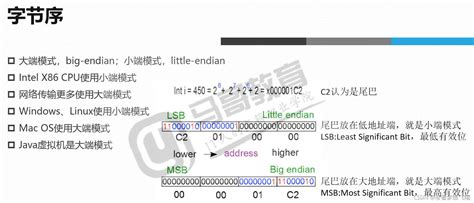 Python中的bytes与bytearray详解python Bytes数组 Csdn博客