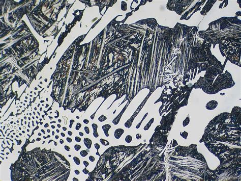 Flickriver Airton Morassis Photos Tagged With Ledeburite