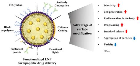 Recent Progress Of Lipid Nanoparticles Based Lipophilic Drug Delivery Focus On Surface