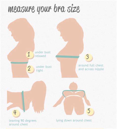 A Bra That Fits Bra Size Calculator Dopwhich
