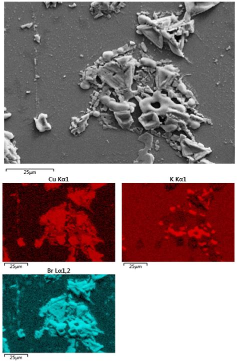 Figure S12 Sem Eds Analysis Of Kbr Cubr 2 Download Scientific Diagram