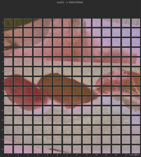 【pytorch】论文复现 vision transformer vit vit复现 csdn博客