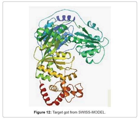 Proteomics Bioinformatics Swiss Model