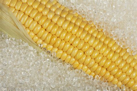 썩지 않지만 친환경 플라스틱 바이오 베이스 플라스틱을 아시나요