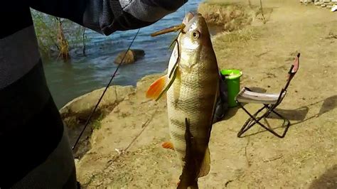 თევზაობა ტბებზე 2020 Youtube