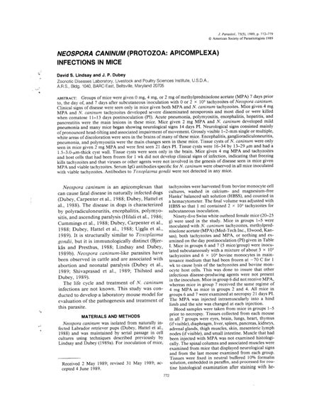 Pdf Neospora Caninum Protozoa Apicomplexa Infections In Mice
