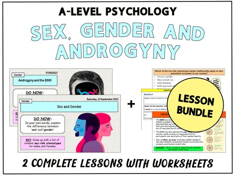 Sex Gender Androgyny And The Brsi Lesson Bundle [a Level Psychology