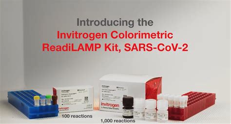 Keeping The Lights On For Sars Cov 2 Research Life In The Lab
