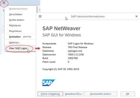 Sap Gui Latest Version Hereosi