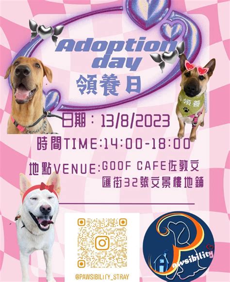 獨立義工明辦領養日 為多隻狗狗尋家 香港動物報 Hong Kong Animal Post