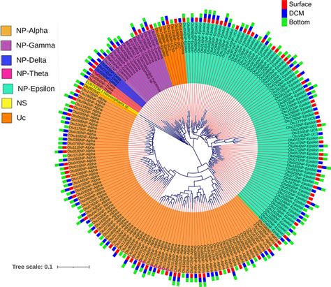 Neighbor Joining Phylogenetic Tree Constructed Using On Archaeal Download Scientific Diagram