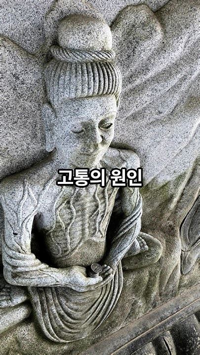 고통의 원인 불교 고통 괴로움 석가모니 Youtube