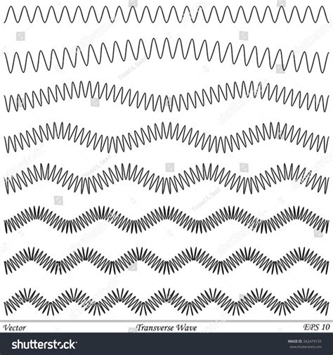 Transverse Wave Stock Vector Royalty Free Shutterstock