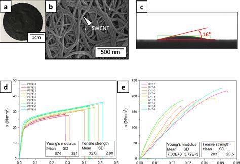 Figure 1 From Single Walled Carbon Nanotube Membranes Accelerate Active Osteogenesis In Bone