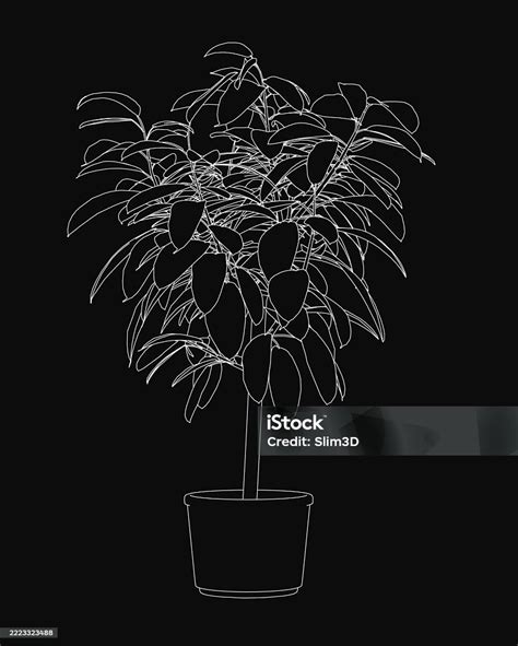어두운 배경에 미니멀한 스타일로 그려진 상세한 잎과 줄기가 있는 화분에 심은 식물의 흑백 스케치입니다 모노크롬 일러스트레이션은 깔끔한 선과 미묘한 음영이 특징입니다 검은색에