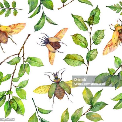 나뭇가지와 날아다니는 딱정벌레가 있는 수채화 무늬 손으로 그린 꽃 그림은 흰색 배경에 분리되어 있다 곤충에 대한 스톡 벡터 아트 및 기타 이미지 Istock
