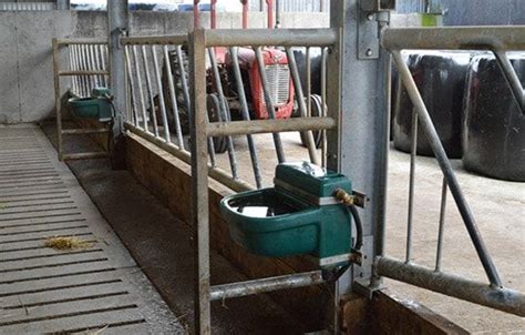 Jfc Conventional Drink Bowl 16l 35gal Massey Harpers