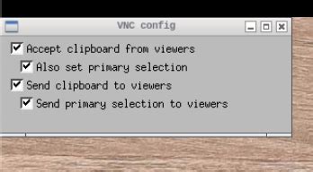 Hide Vnc Config Window Issue Neurodesk Neurodesktop Github
