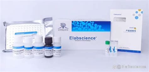 Elabscience热销产品线简介