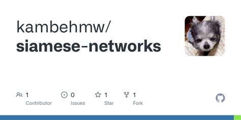Github Kambehmw Siamese Networks