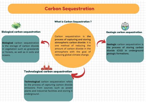 Carbon Sequestration And Its Types Biorender Science Templates