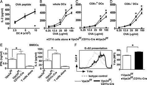 Effects Of Vps34 Deficiency On The Mhc Class Ii Antigen Presentation Download Scientific