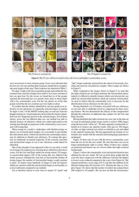 Detection And Mitigation Of Rare Subclasses In Neural Network