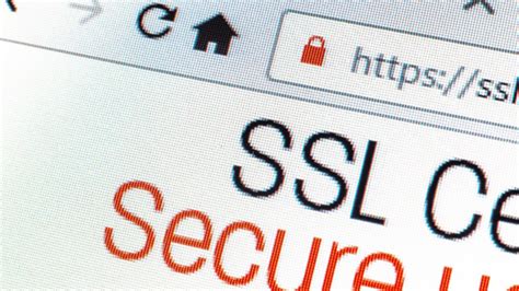 Whats An Ssl Certificate And Why Is It Needed For My Breeder Site