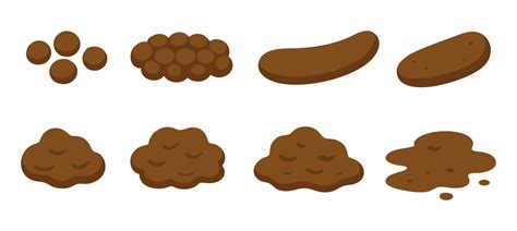 Bristol Stool Chart Infographic Illustrating Different Types Of Human