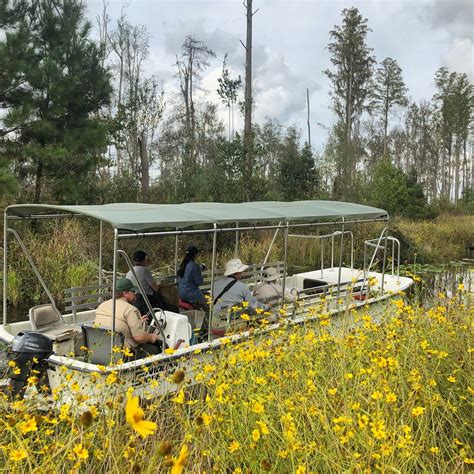 Georgi Georgia State Parks And Historic Sites Georgia Dnr