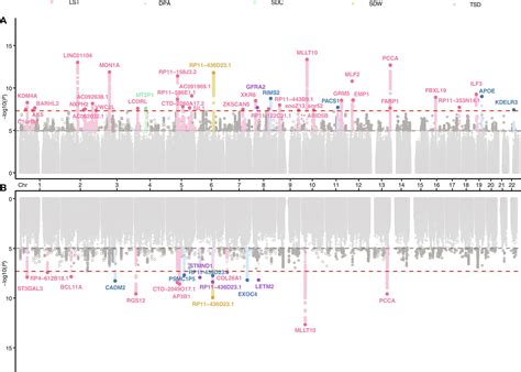 Sex Stratified Genetic Analyses Mapping The Influences Of Sedentary