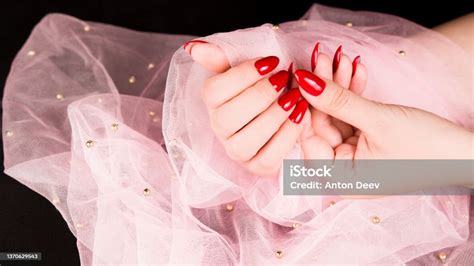 빨간 손톱을 가진 여자의 손 분홍색 배경에 매니큐어를 보여주는 여성 손 러시아에 대한 스톡 사진 및 기타 이미지 러시아 매니큐어 세트 매니큐어 미용술 Istock