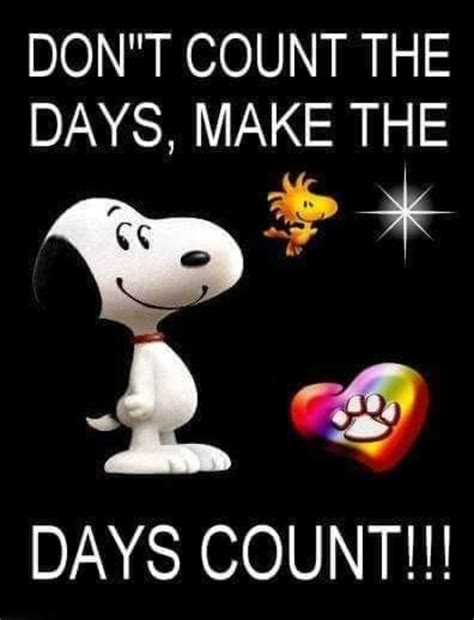 10 Inspiring And Motivating Snoopy Quotes About Life