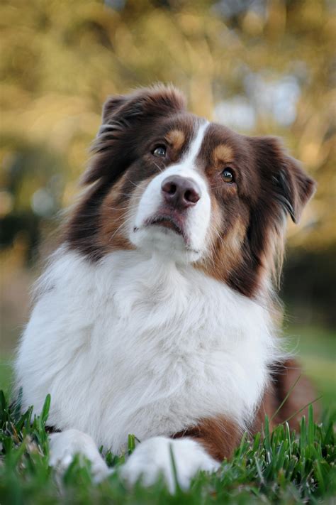 53236 Fotos Y Imágenes De Culitoshermosos Gratis · Banco De Fotos Gratis