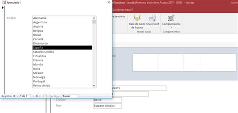 pasar datos a listbox desde una consulta sql vba access visual basic