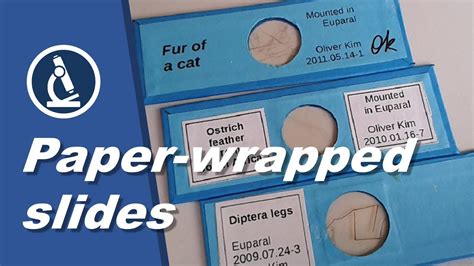 How To Make An Microscope Slide At Matthew Mendelsohn Blog