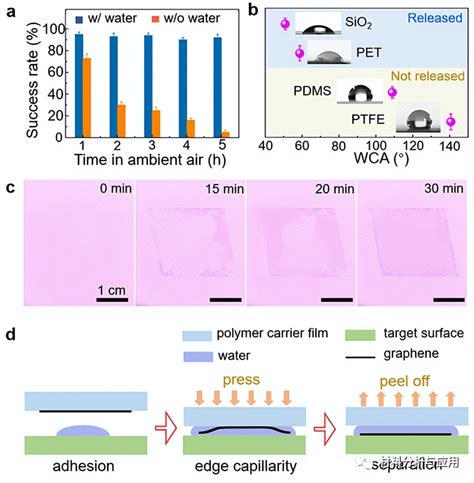 Zhejiang University Using Scalable Graphene Via Press To Peel A
