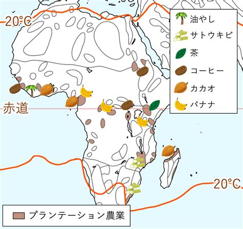 プランテーション作物の種類と生産国 植民地 プランテーション Ywgsr