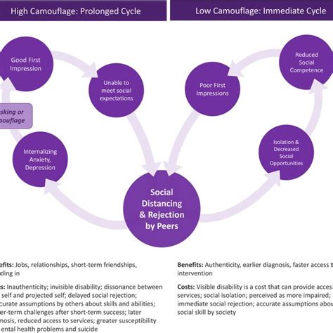 Correlation Between Crs E Total Scores And Ados 2 Social Affect Download Scientific Diagram