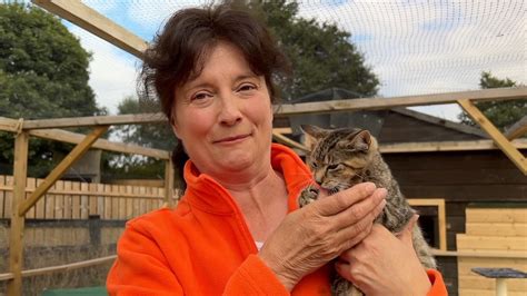 ‫بیش از ۱۰۰ پشک در خانه داریم‬ ‫با خانواده‌ای از انگلستان آشنا شوید