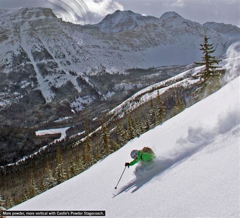 No Pussyfooting Around Ski Canada Magazine