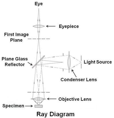 Metallurgical Microscopes MicroscopeGenius Com