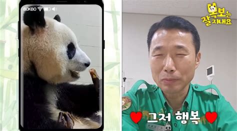 강철원 사육사 “푸바오 보고 싶어…마음으론 천 번도 보러 갔다” 뿌빠tv